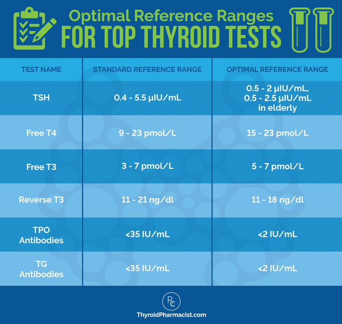 Normal Thyroid Temperature At Jill Fentress Blog Normal Thyroid Temperature At Jill Fentress Blog